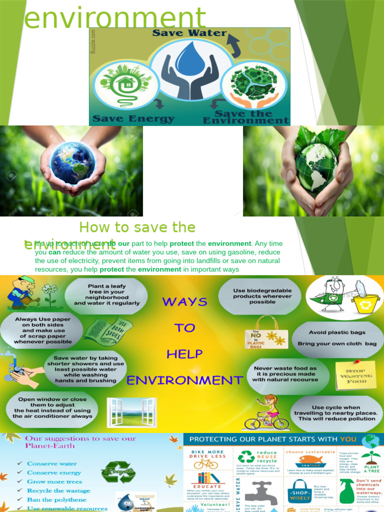All About The Enviornment | PDF