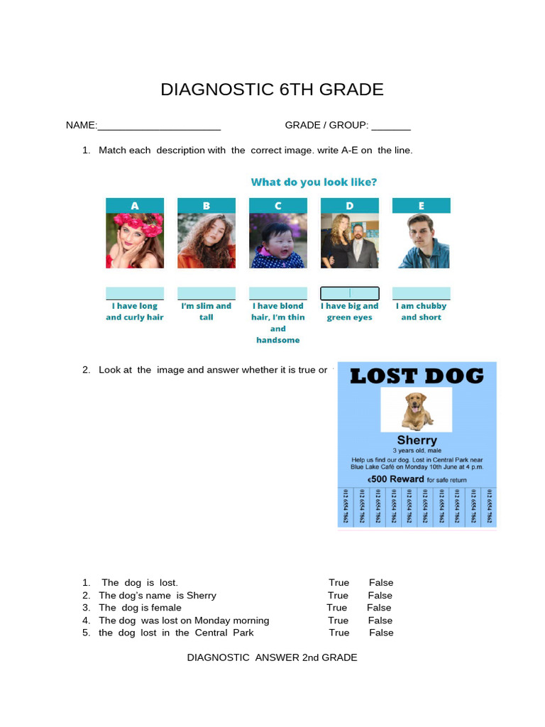 6th Grade Diagnostic Assessment | PDF