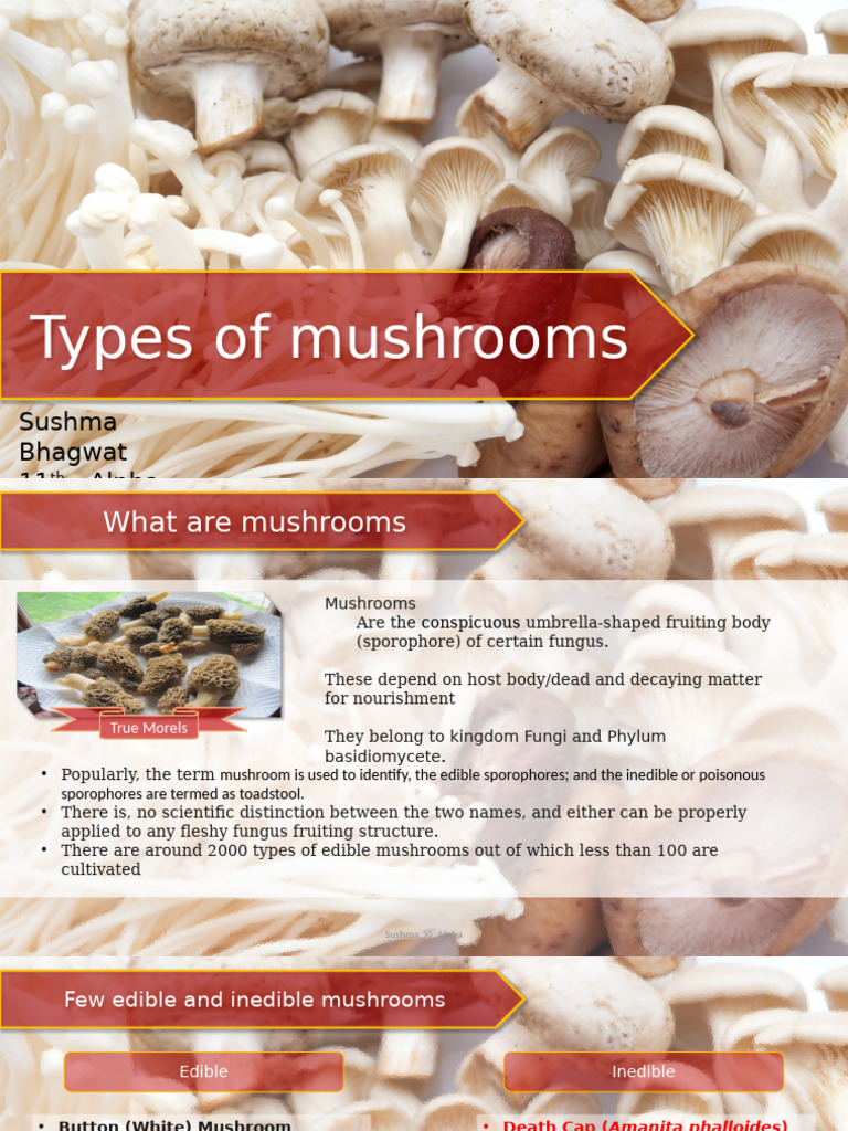 Types and Growth of Edible Mushrooms | PDF | Mushroom | Fungus