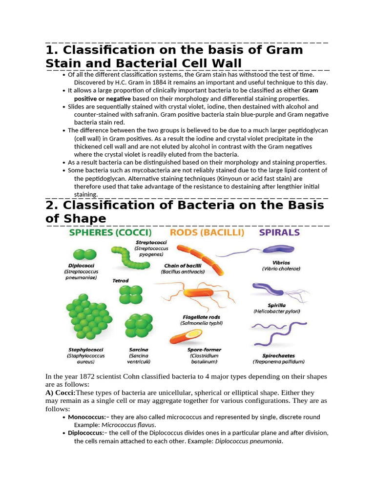 Bacterial Classification Methods Explained | PDF | Bacteria | Staining