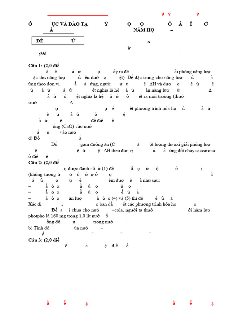 Hsg 11 Quảng Ngãi 2020-2021 | PDF