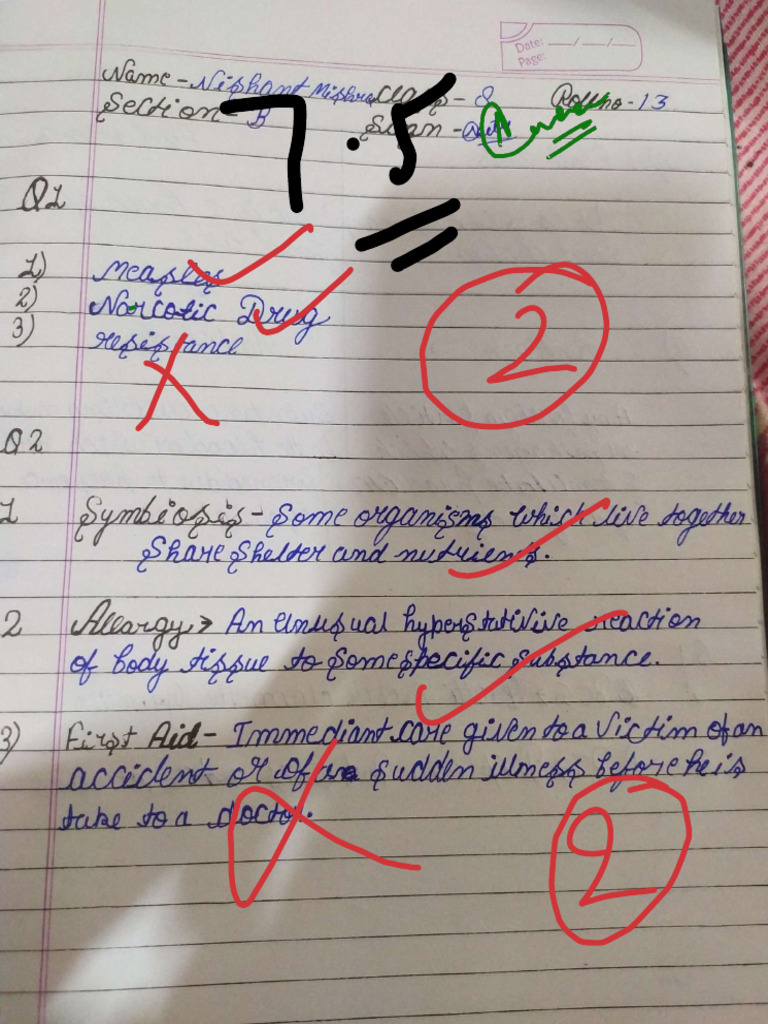 Nishant Mishra Class8b Rollno 13 | PDF