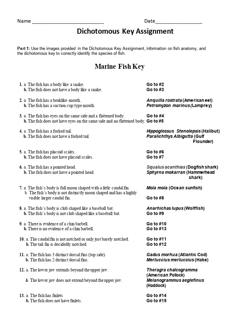 Dichotomous Key Assignment | PDF | Fish | Tuna