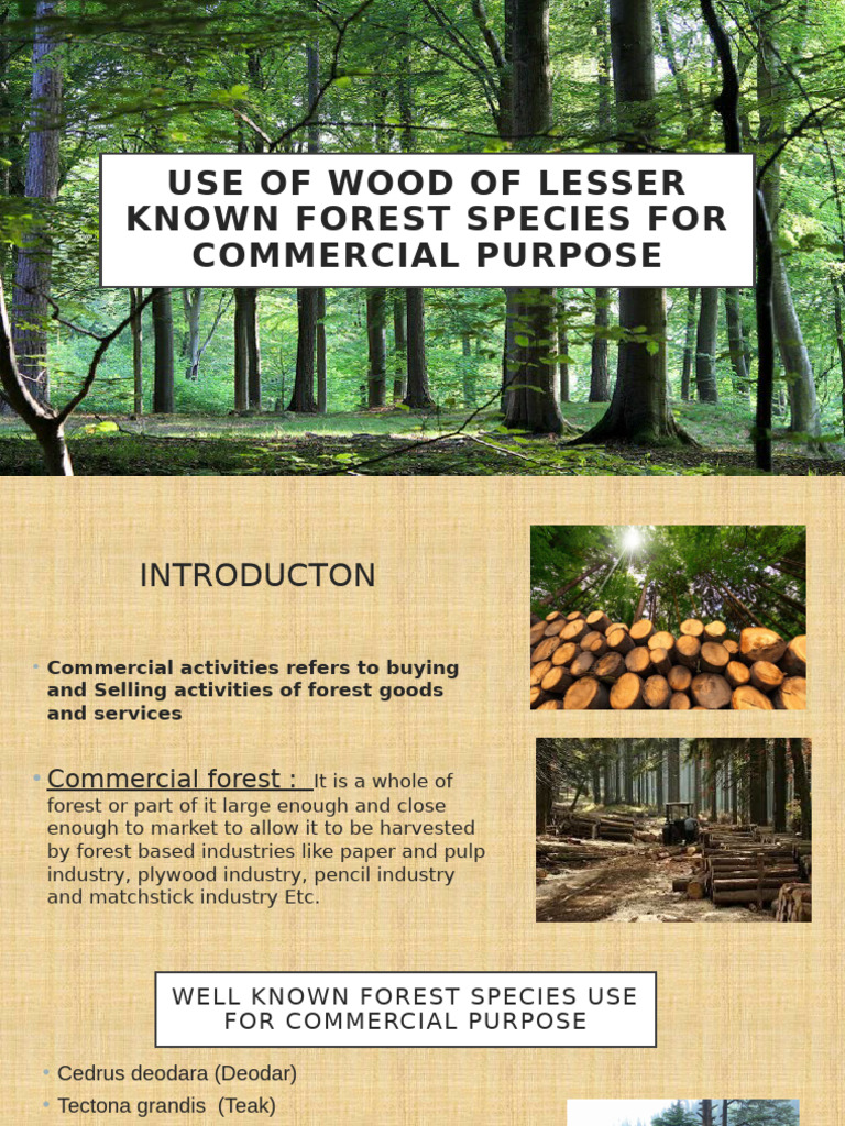 Presentation of Lesser Known Wood Species | PDF | Himalayas | Wood