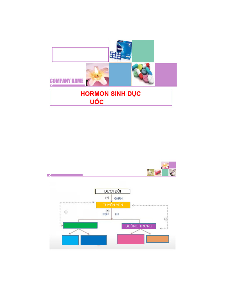 Bài 5 - Hormon Sinh Dục Và Thuốc Tránh Thai | PDF