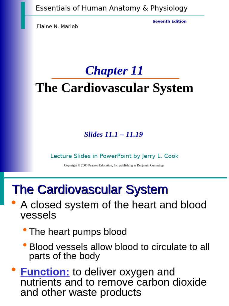 11.1.1 Cardiovascular System | PDF | Heart Valve | Heart