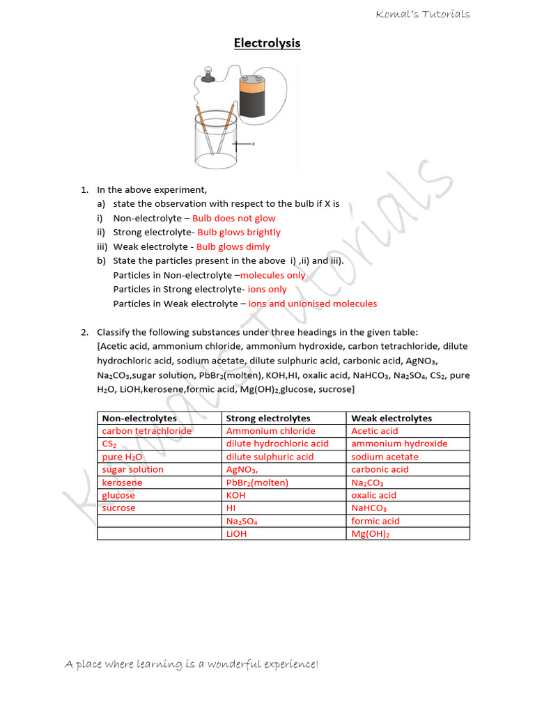 Electrolytes vs Non-Electrolytes Explained | PDF