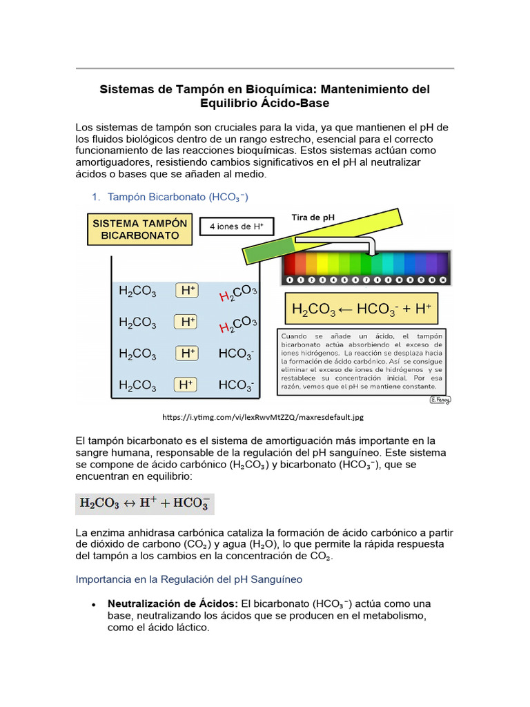 Sistemas de Tampón en Bioquímica | PDF | Solución tampón | Química
