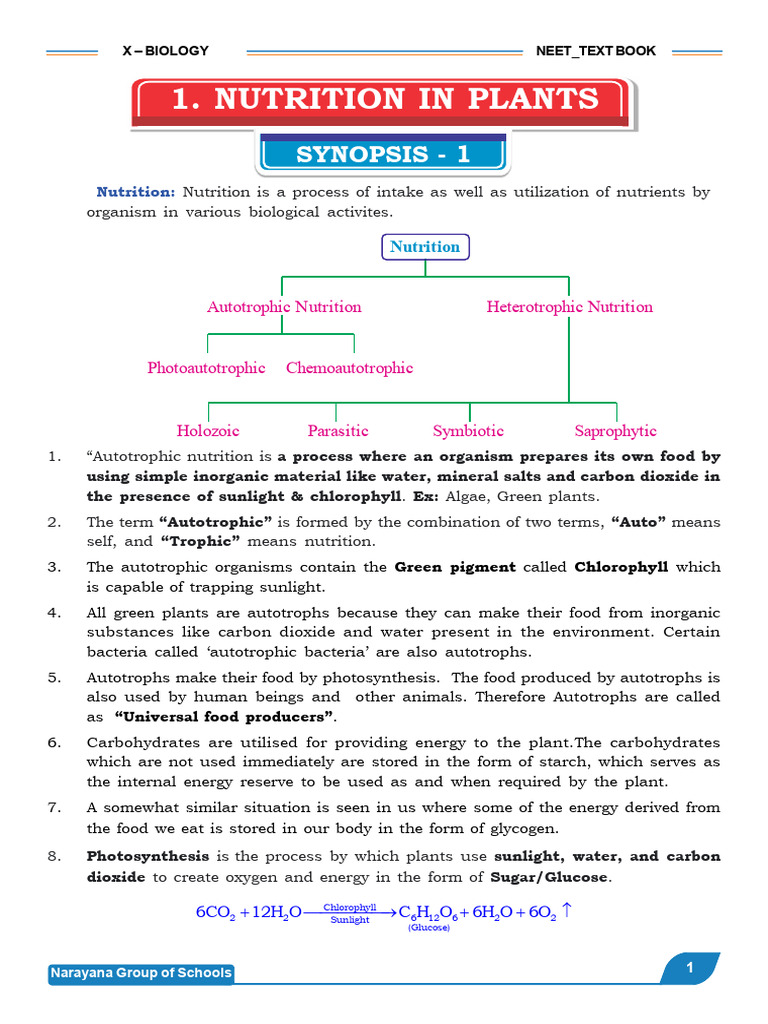 NARAYANA OLYMPIAD BIOLOGY Nutrition in Plants (Class X) | PDF ...