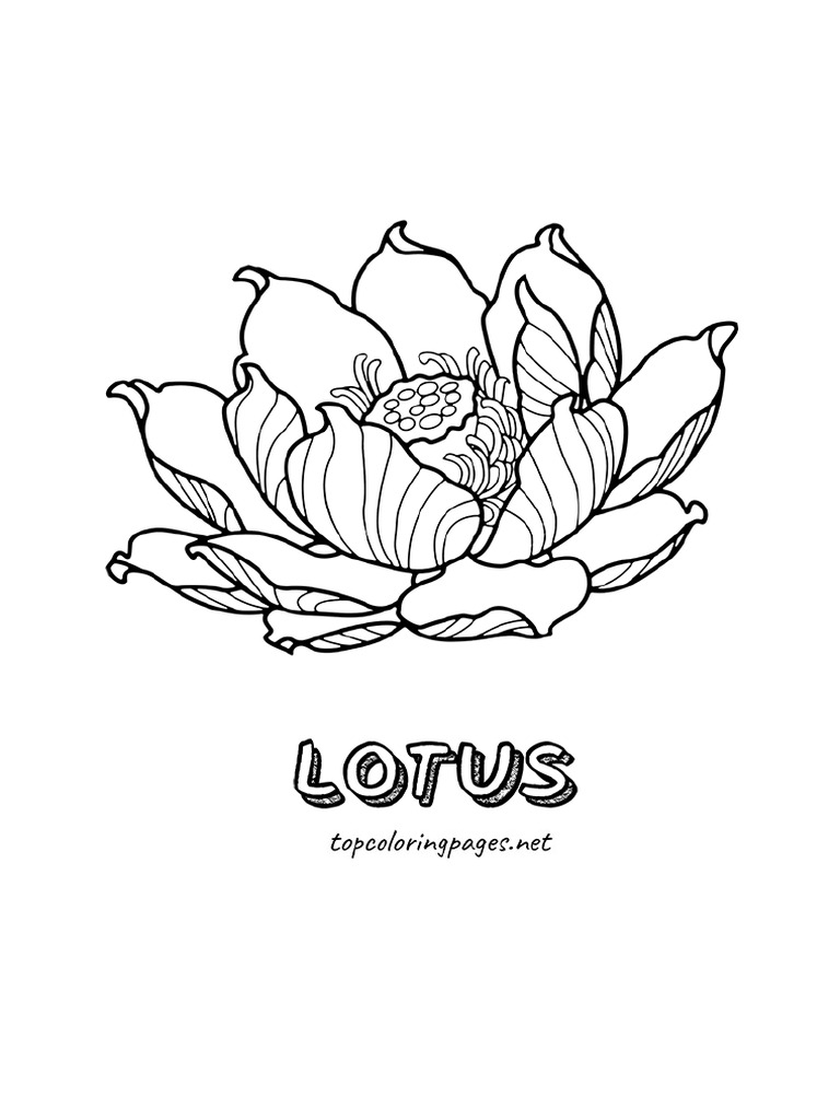 Printable Lotus Coloring Page Flower | PDF