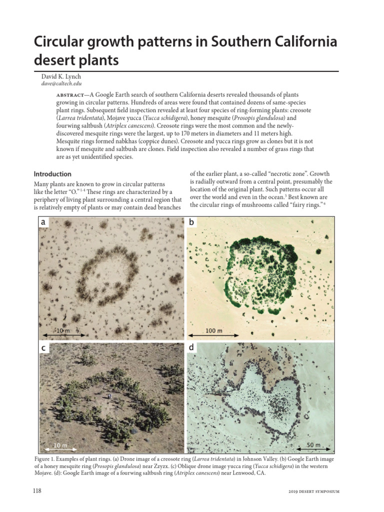 Lynch - Circular Plant Growth | PDF | Desert | Physical Geography