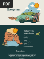 Sonoran Desert Ecosystem Guide | PDF | Food Web | Ecosystem