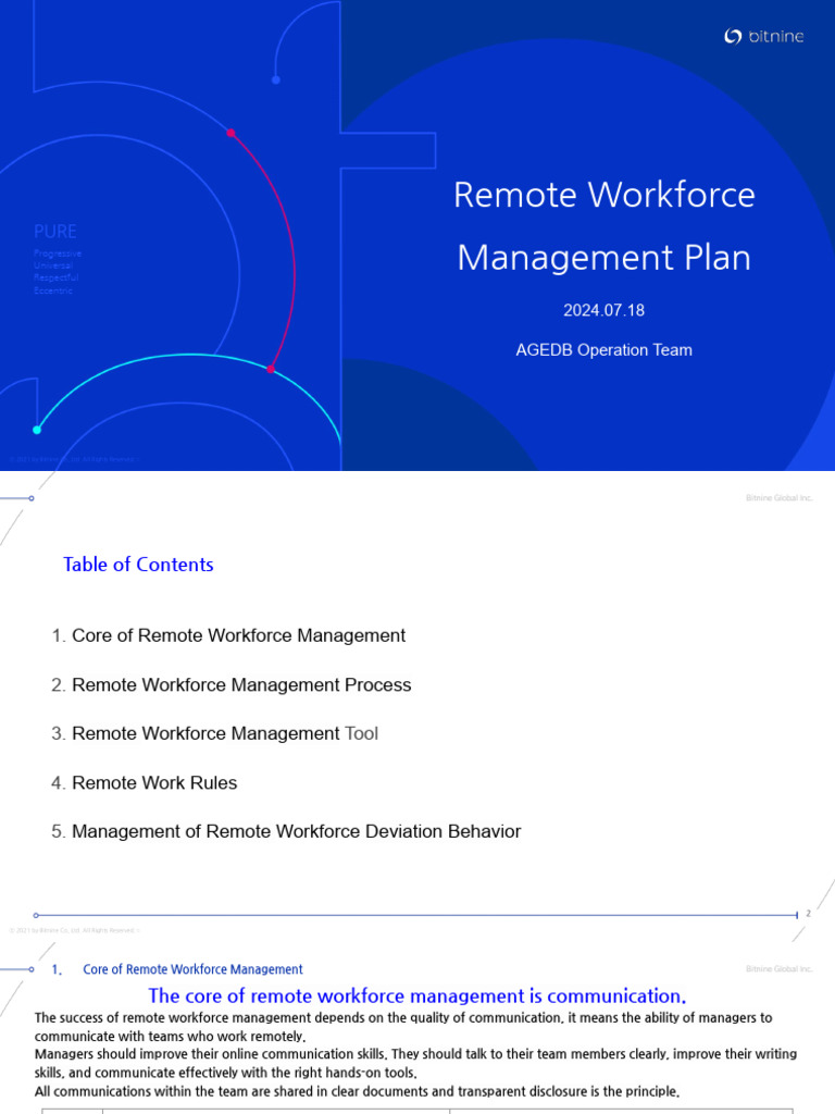 Remote Workforce Management Plan (Pakistan) - AGEDB Operation | PDF