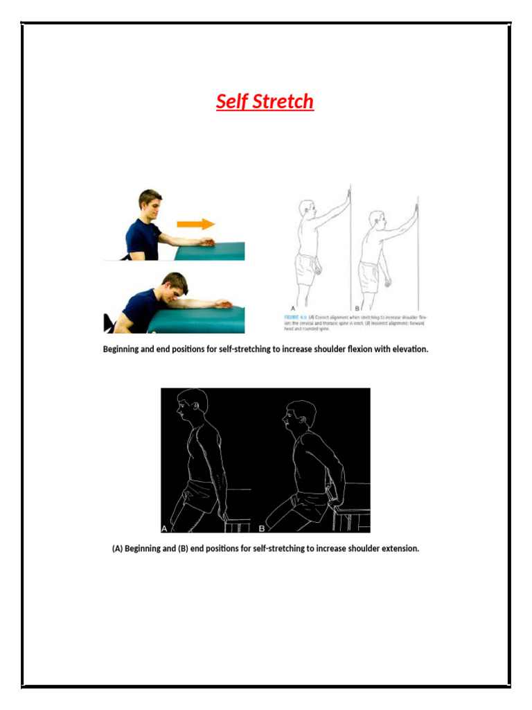 Self Stretch | PDF | Anatomical Terms Of Motion | Pelvis
