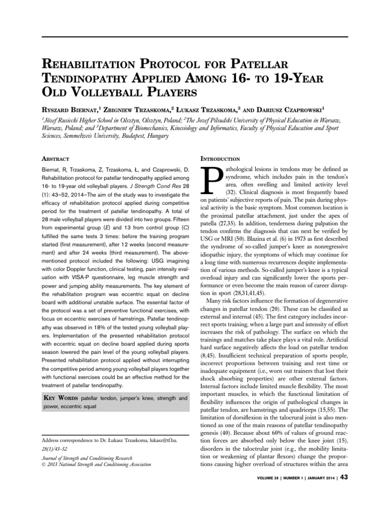 Rehabilitation Protocol for Patellar Tendinopathy.6 | PDF | Knee ...