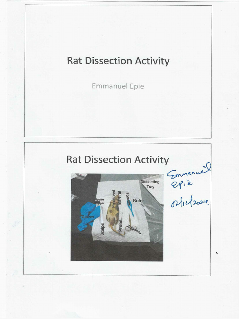 RAT DISSECTION ACTIVITY BY EMMANUEL EPIE_ | PDF