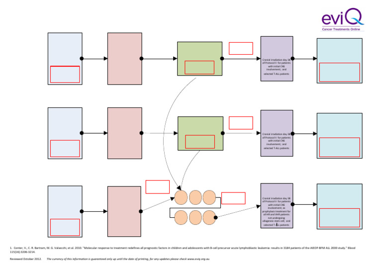 BFM 2000 Protocol Flow Diagram | PDF | Hematopoietic Stem Cell ...
