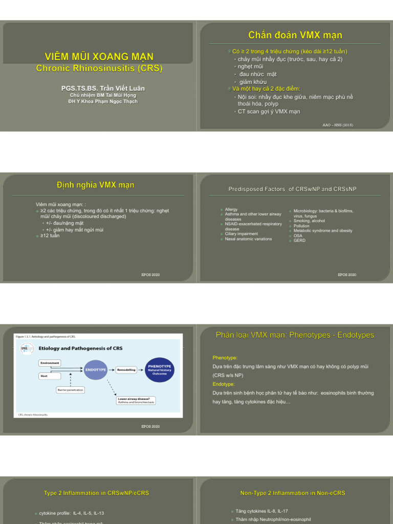 Viem-Mui-Xoang-Man 2 | PDF