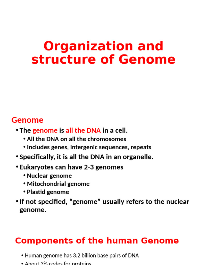 Understanding Genome Structure and Function | PDF | Genome | Nucleic ...