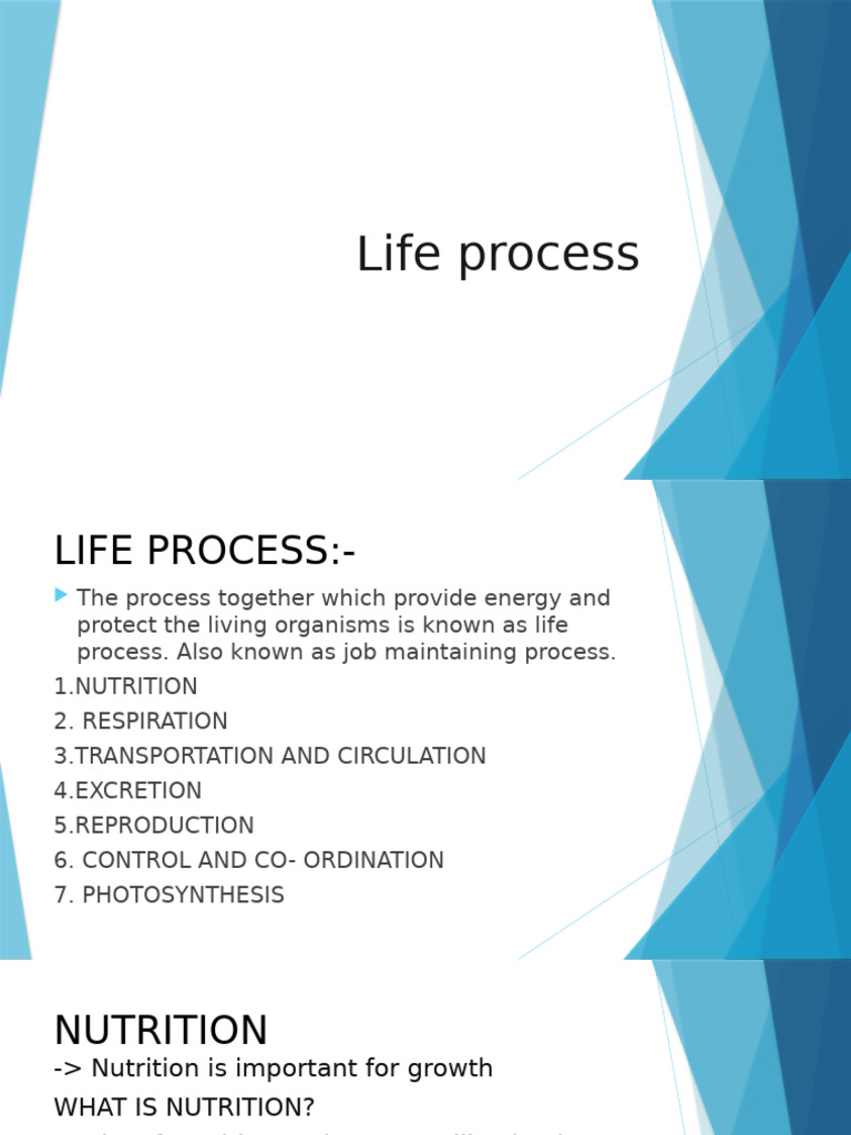 Life Process | PDF