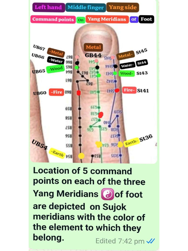 5 Shu Points Each On The Yang Meridians of Foot | PDF