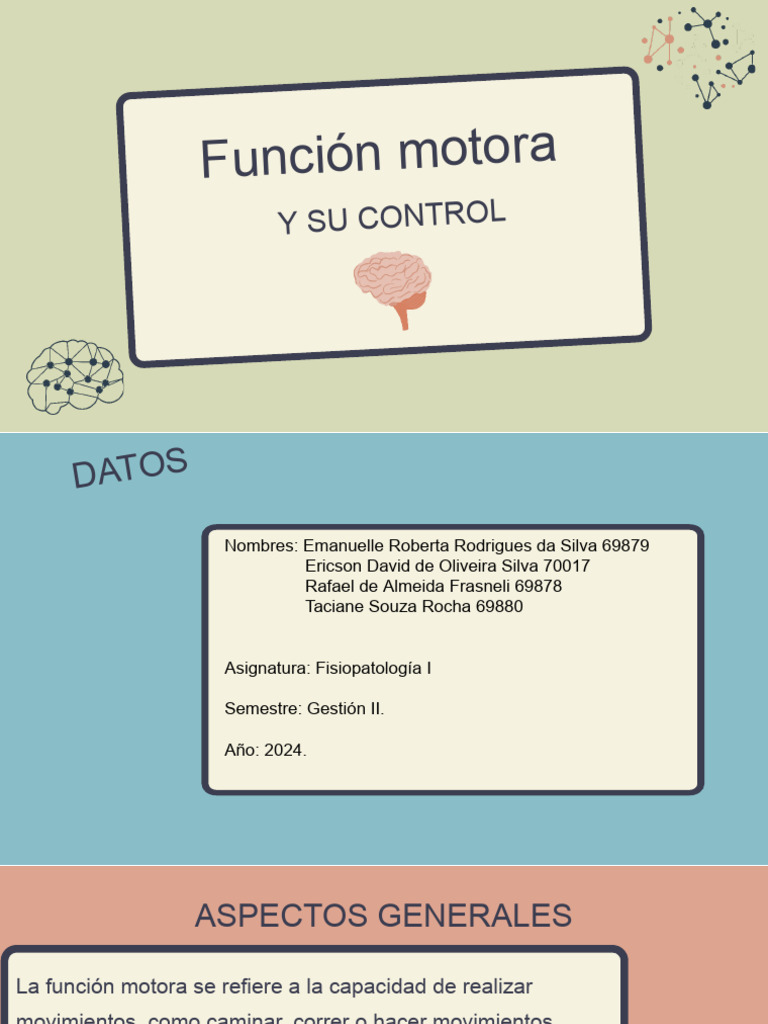 Funcion Motora | PDF | Nervio | Ganglios basales