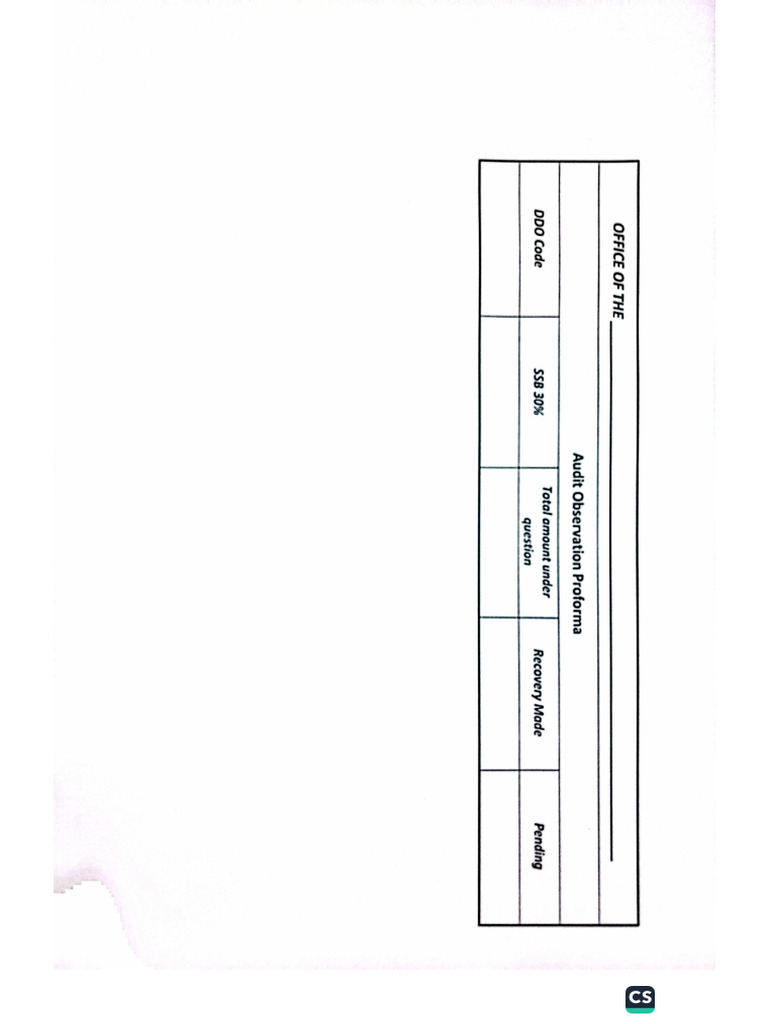 Audit Observation Proforma | PDF