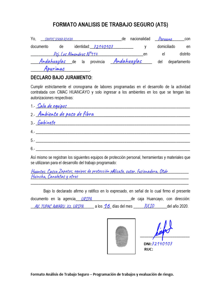 Formato Ats | PDF