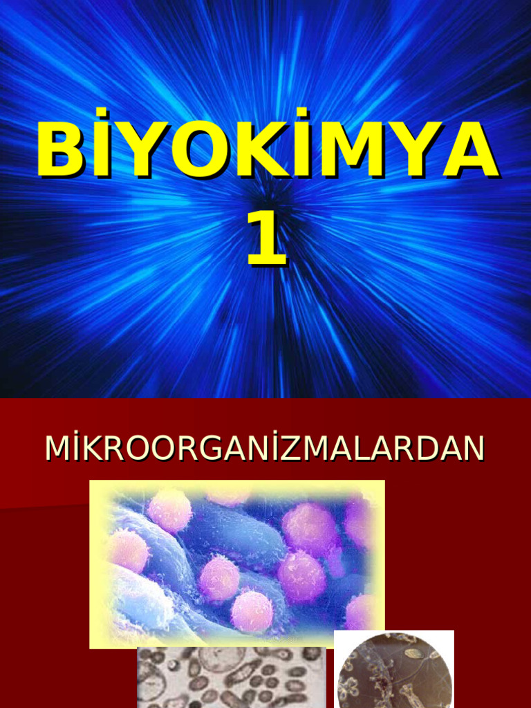 Biochemistry 101 | PDF