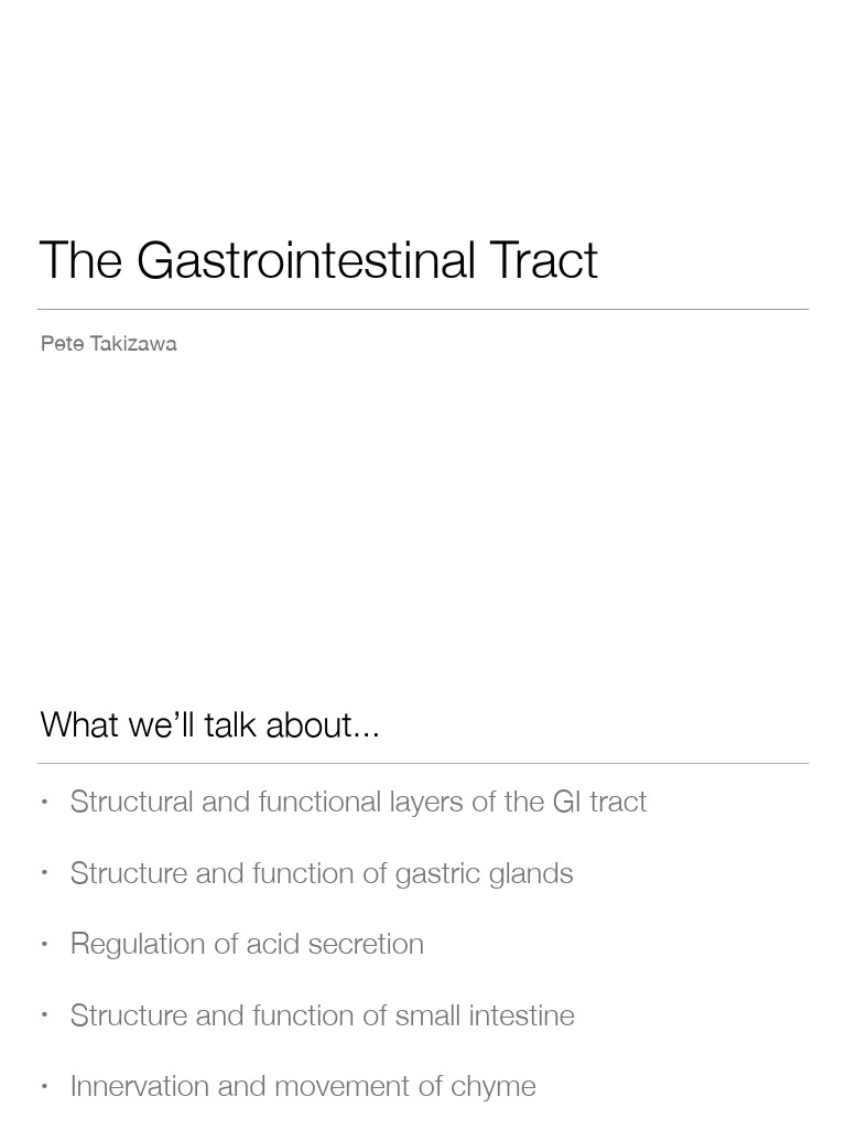 Slides | PDF | Stomach | Gastrointestinal Tract