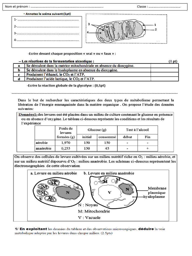 Exercice Supp | PDF