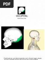 Forames do Crânio e Suas Estruturas | PDF | Anatomia humana | Anatomia dos primatas