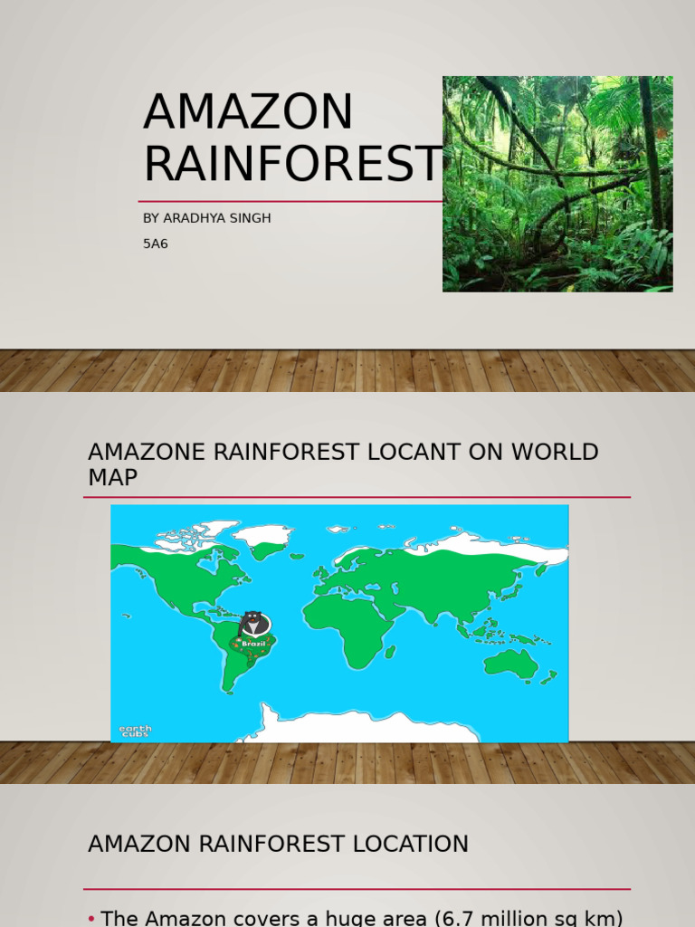 Aradhya Singh 5a6 PPT Amazon Rainforest | PDF | Amazon Rainforest | Rainforest