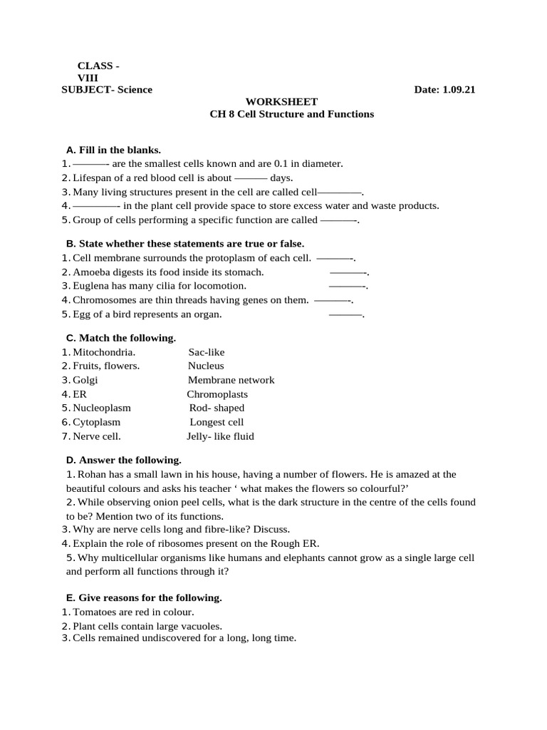 Grade 8 CH 8 WK | PDF | Cell (Biology) | Chloroplast