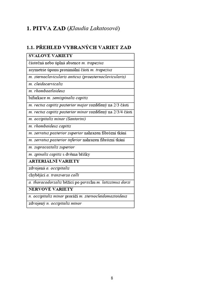 Protokol Záda | PDF