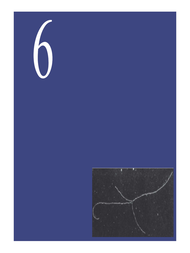 DNA복제, 교정 | PDF | Dna Replication | Dna