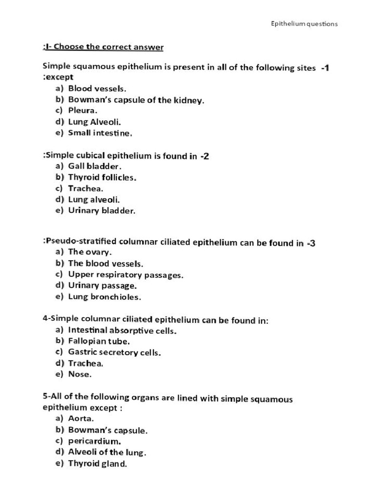 Epithelium Questions MSQ and Written | PDF