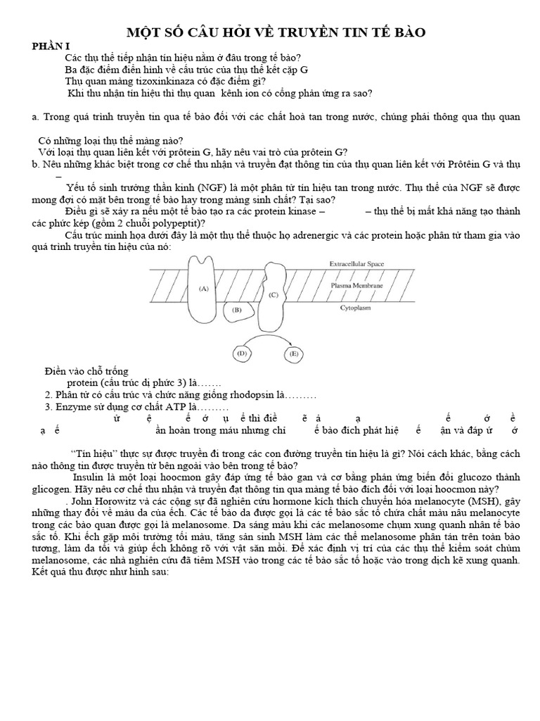 Truyen Tin - HS | PDF
