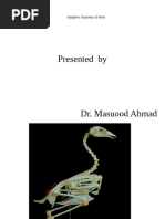 Chicken and Human Skeleton Comparison | PDF | Skeleton | Bone