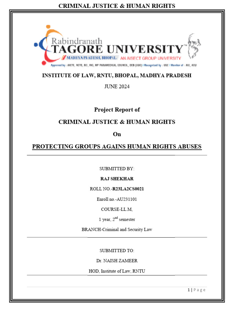 CJ LLM | PDF | Human Rights | Violence