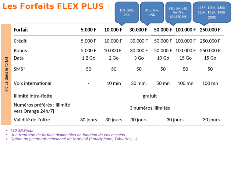 Forfaits FLEX PLUS : Options et Avantages | PDF