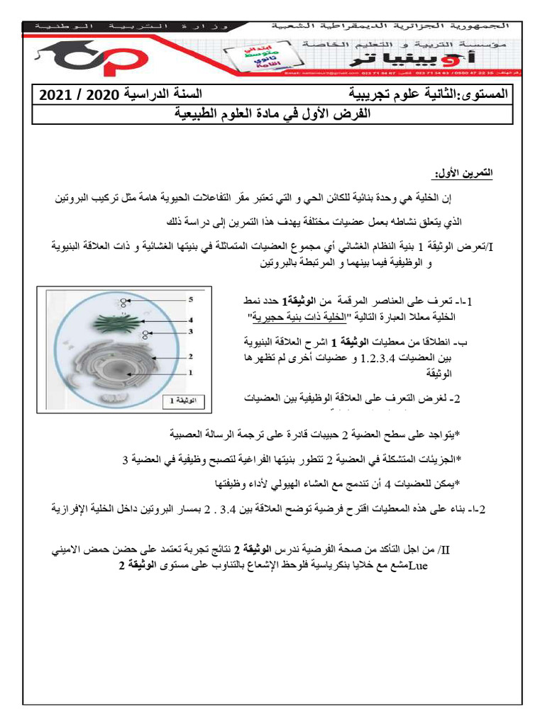 Dzexams 2as Sciences 1050210 | PDF