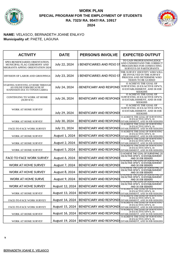 WORKPLAN Sample.xlsx100 | PDF | Labor | Business