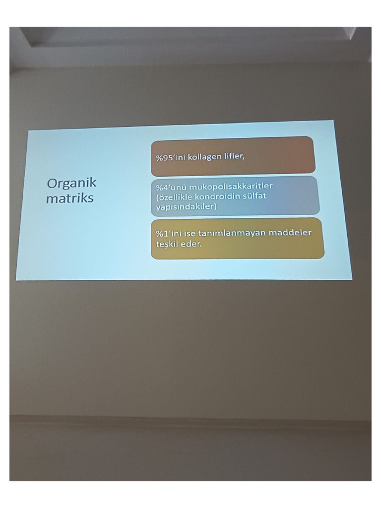 4. Hafta Kemik | PDF