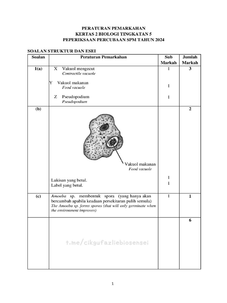 Perak 2024 - Skema Bio2 | PDF