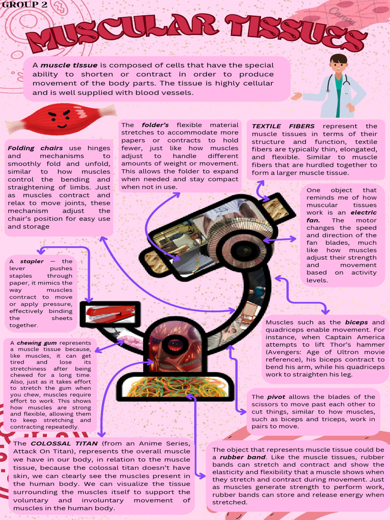 Muscular Tissue Collage Group 2 STEM 5 | PDF | Tissue (Biology ...