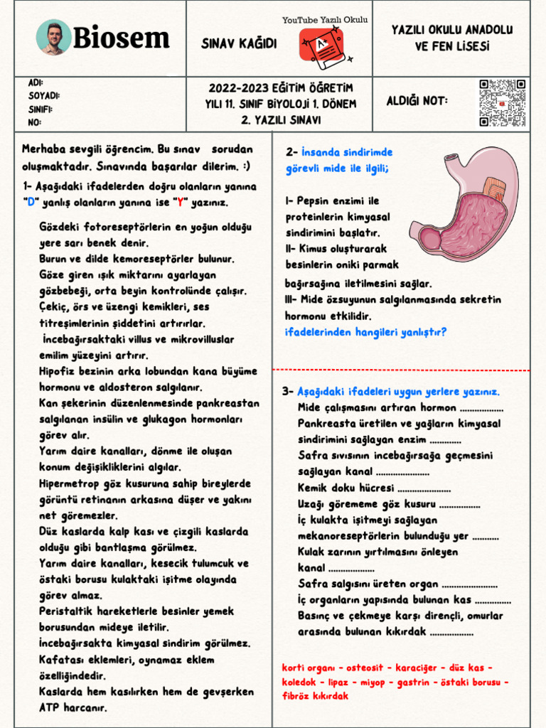 11.-Sinif-1.-Donem-2.Yazili-Biosem | PDF