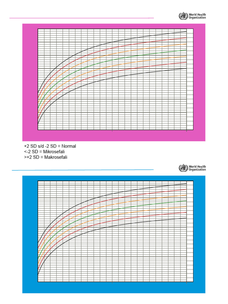 Lingkar Kepala Anak Menurut WHO | PDF