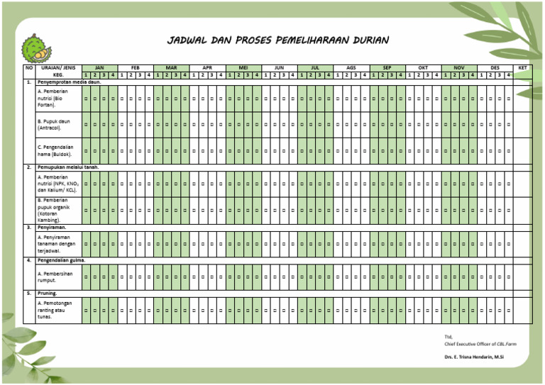 Jadwal dan Proses Pemeliharaan Durian | PDF