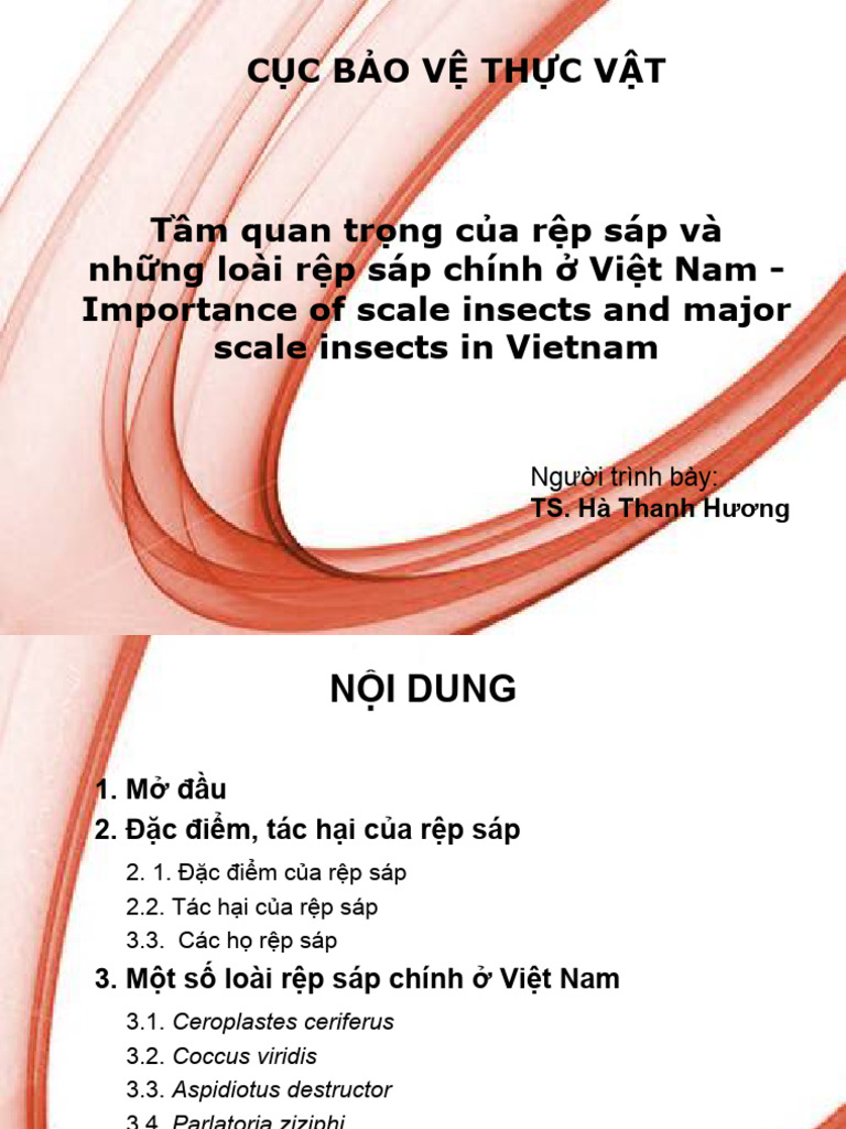 Tam Quan Trong Cua Rep Sap | PDF